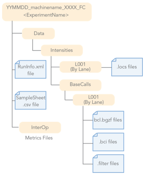 Generating FASTQs with cellranger mkfastq on 10x scRNA-seq data